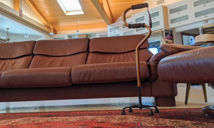 Stay Home in Style with the EZ-Get-Up-From-Seat Walking Cane