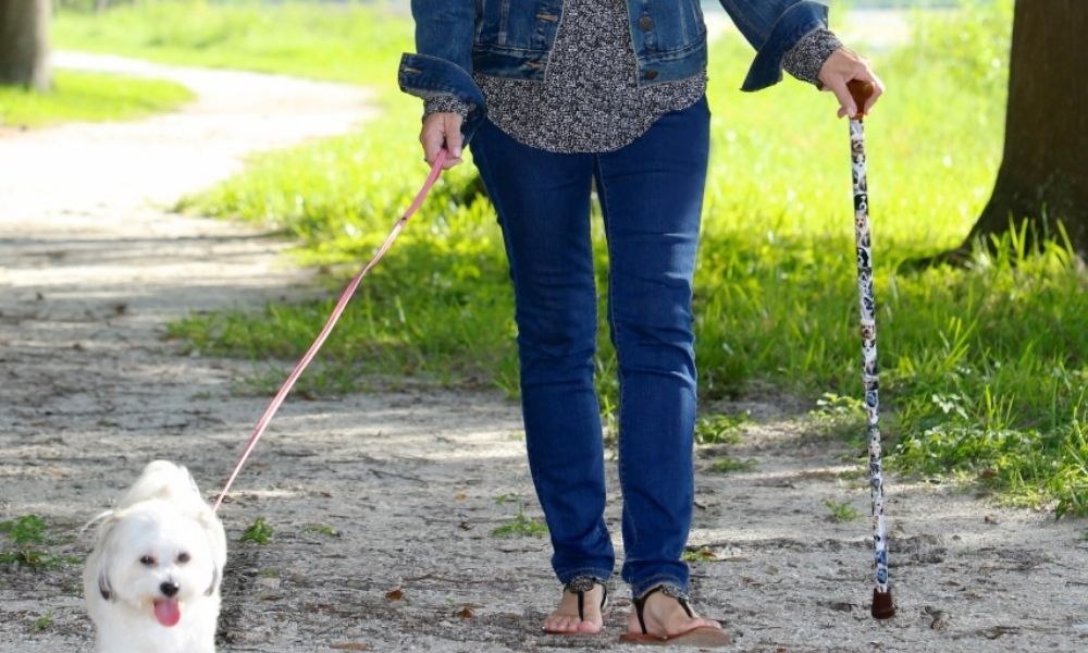 Different Exercises Using a Cane