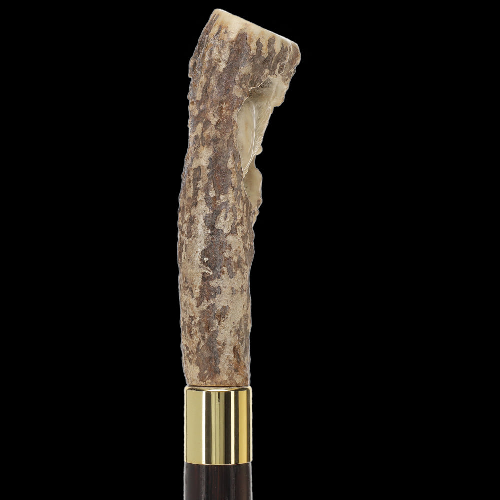Carved Bison Antler Buffalo Bone: Collector Cane - Limited Supply