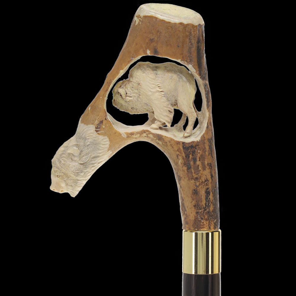 Bison Antler Buffalo Bone Handle Collector Cane w/Custom Shaft and