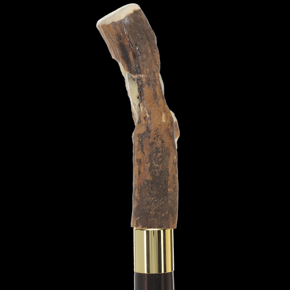Bison Antler Buffalo Bone Handle Collector Cane w/Custom Shaft and Col