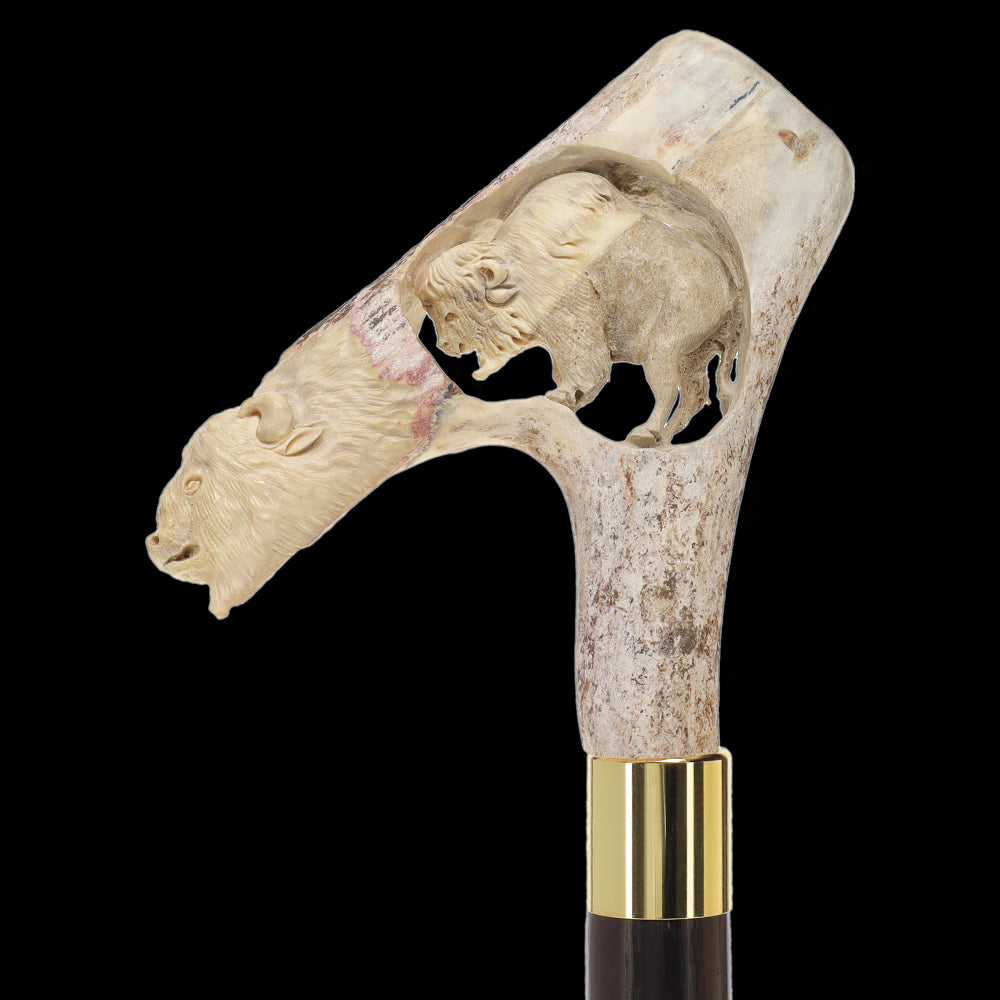 Carved Bison Antler Buffalo Bone: Collector Cane - Limited Supply