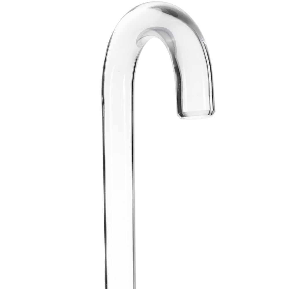 Classic J Handle Tourist Lucite Cane