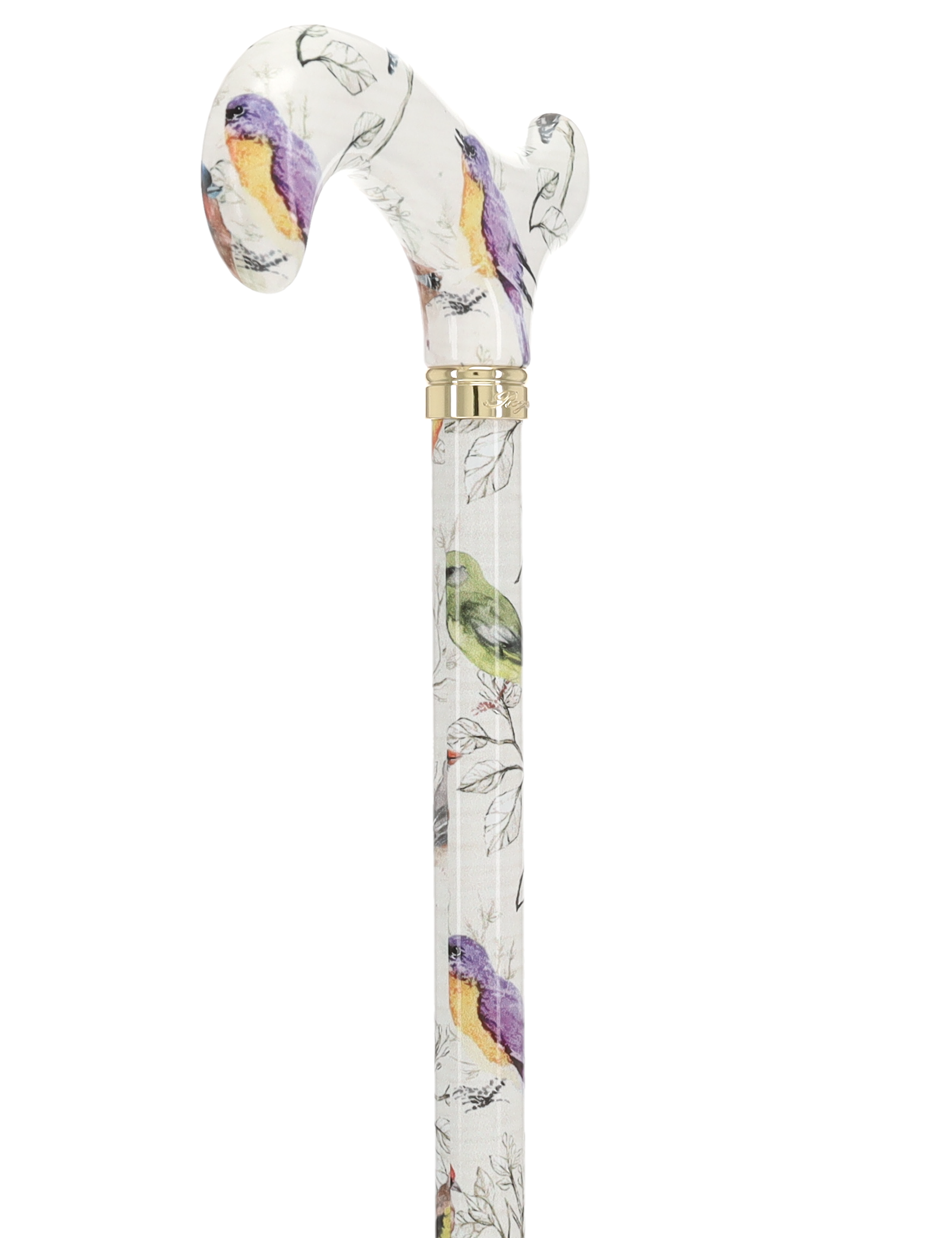 Watercolor Bird: Designer Derby Cane with Patterned Handle