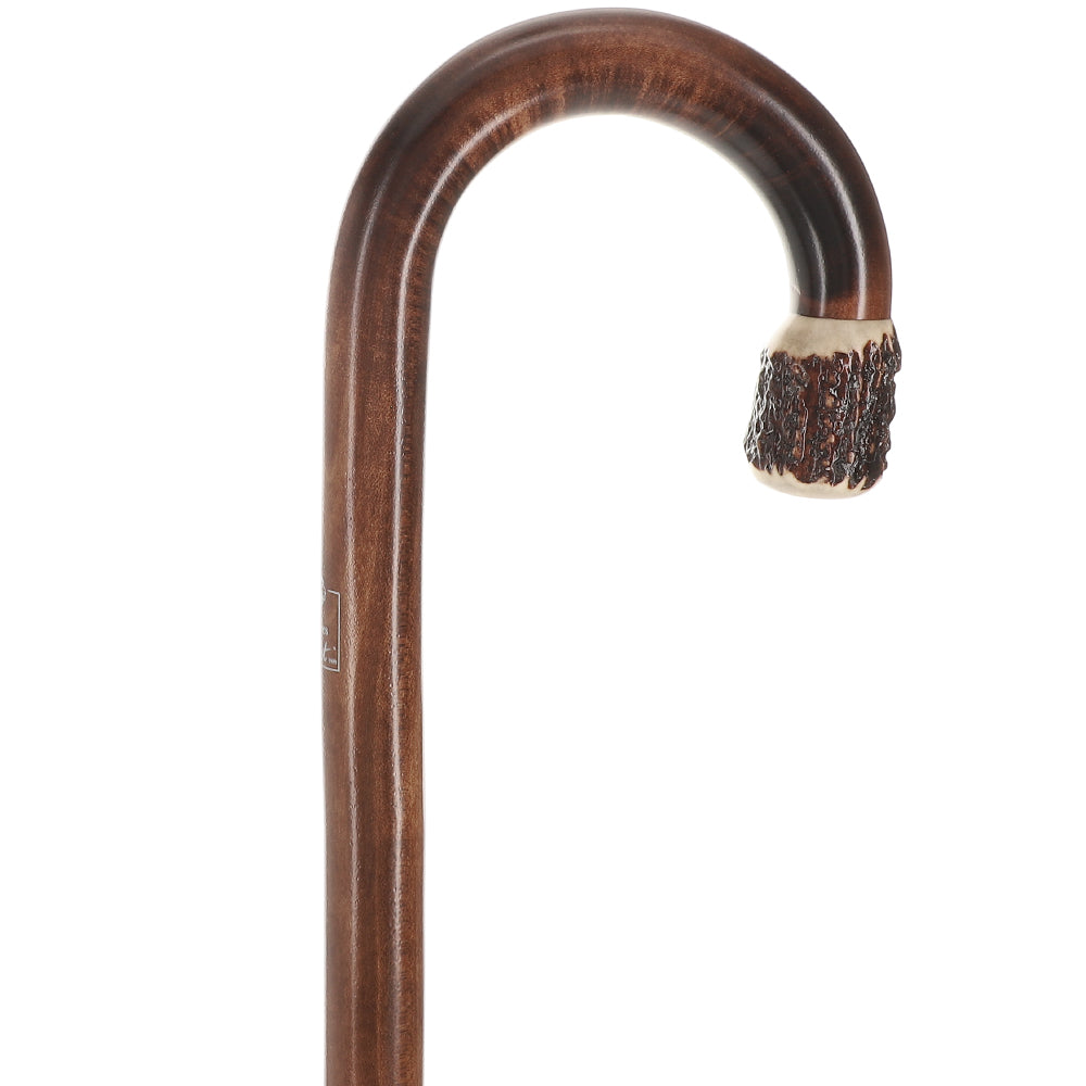 French Stag Horn Tourist Walking Cane: Dark Maple Shaft