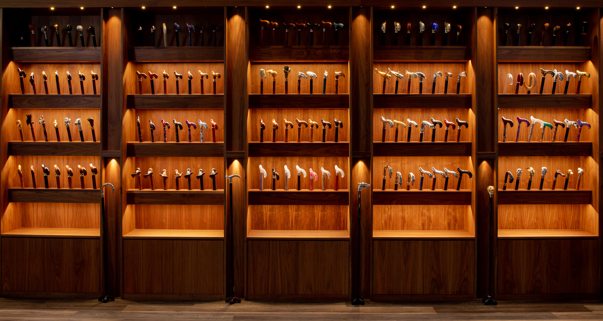 Walking Canes & Walking Sticks for Men and Women