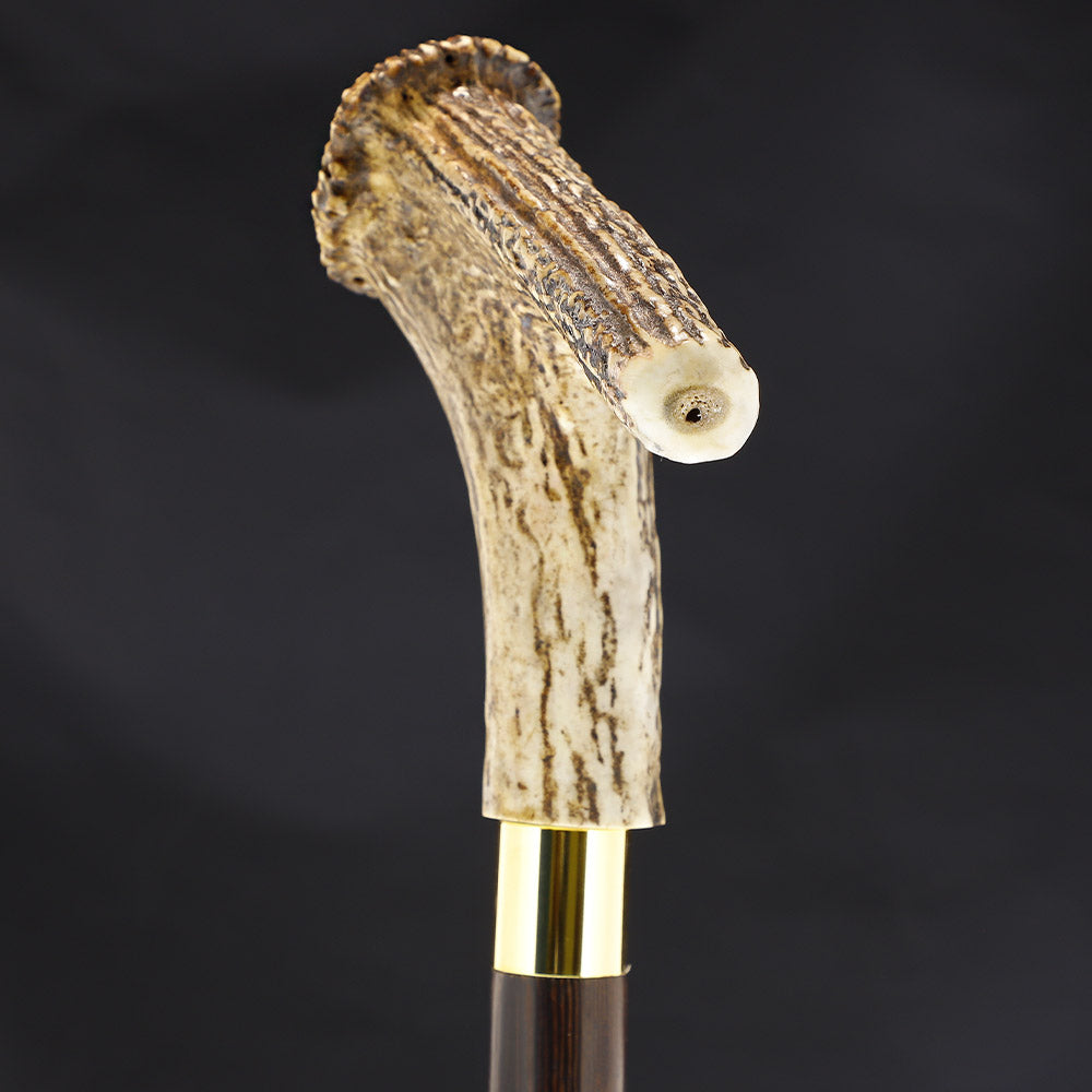 Thumbstick Bone Handle Walking Cane w/Custom Shaft and Collar