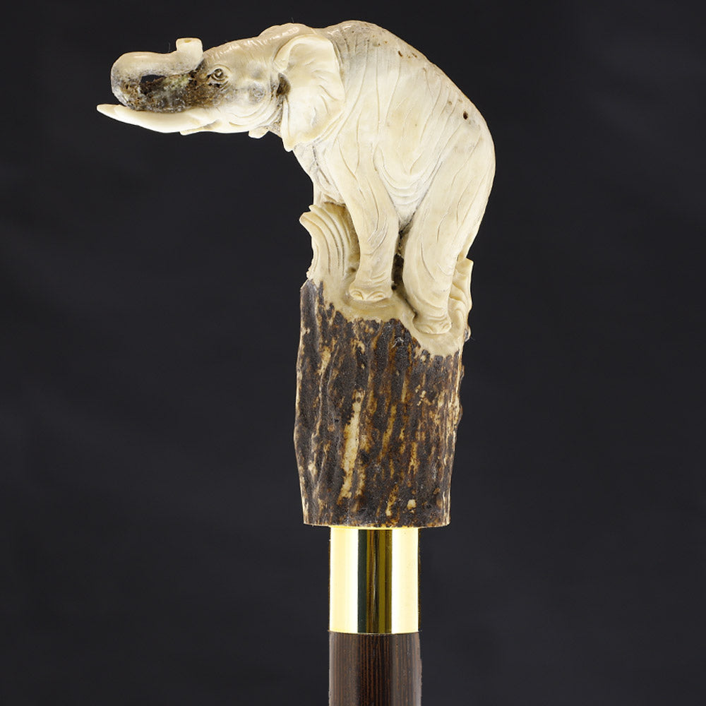 Elephant Bone Handle Walking Cane w/Custom Shaft and Collar