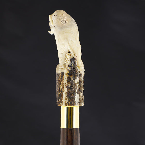Elephant Bone Handle Walking Cane w/Custom Shaft and Collar