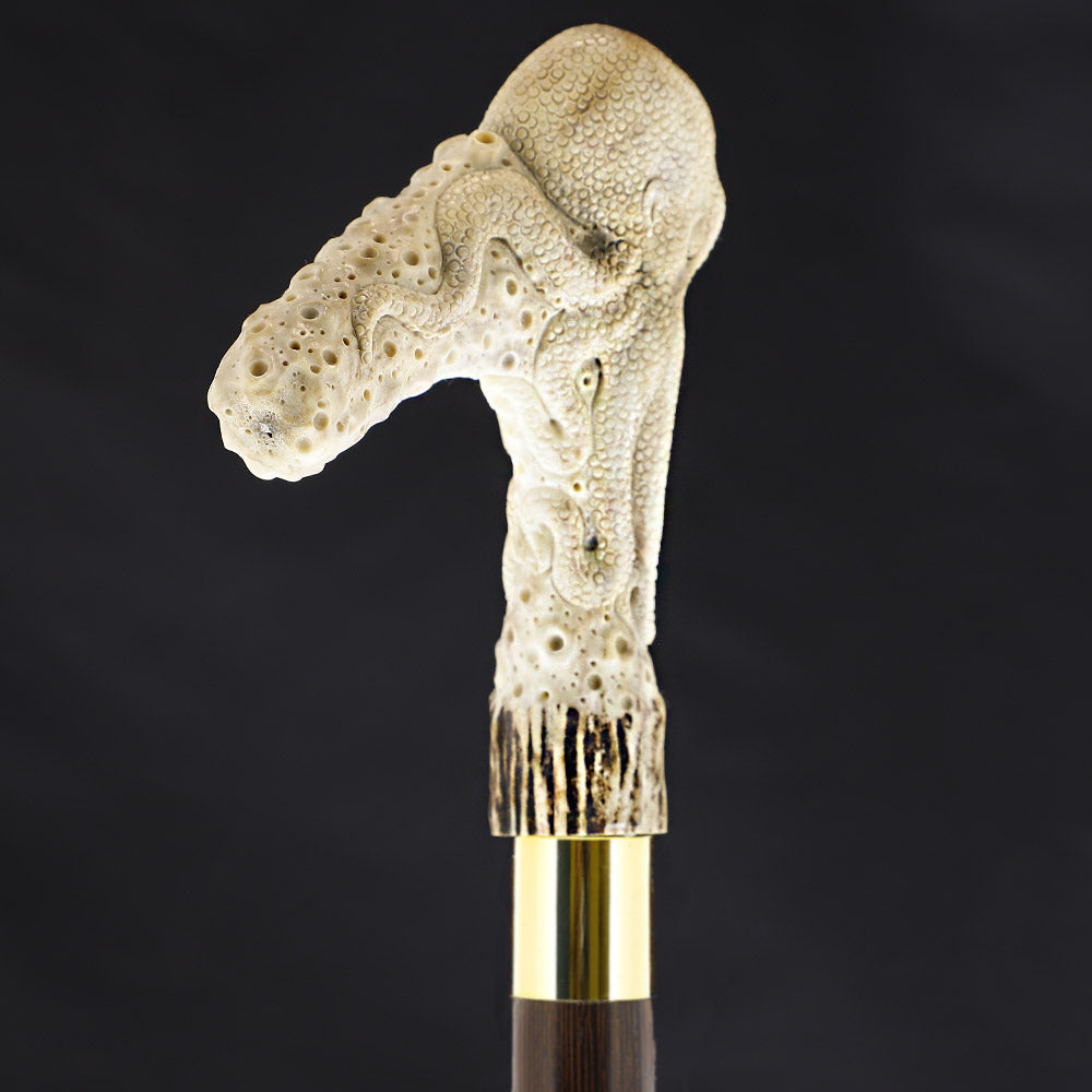 Octopus Bone Handle Walking Cane w/Custom Shaft and Collar