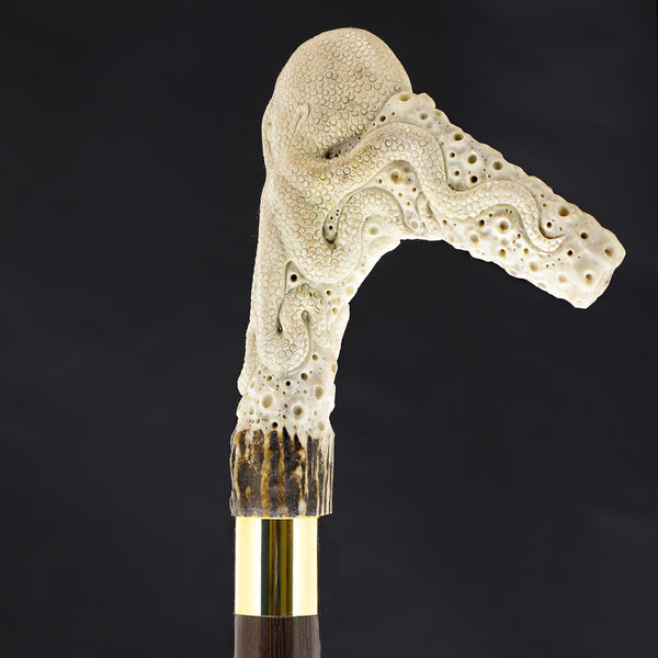 Octopus Bone Handle Walking Cane w/Custom Shaft and Collar