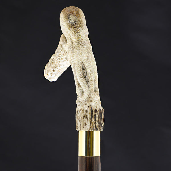 Octopus Bone Handle Walking Cane w/Custom Shaft and Collar