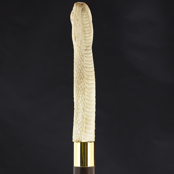 Traveling Snake Bone Handle Walking Cane w/Custom Shaft and Collar