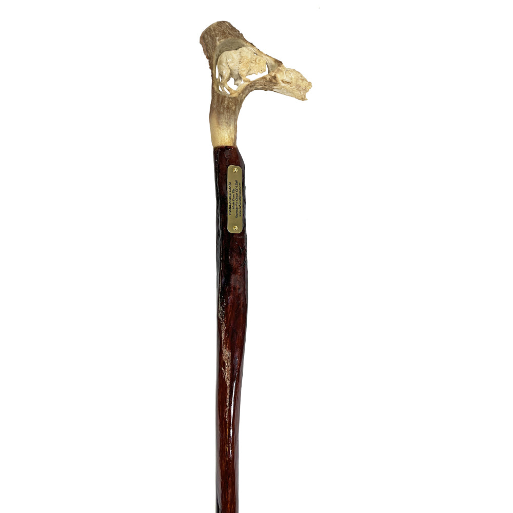Custom Bull Organ shaft with Handcarved Buffalo Bone Handle