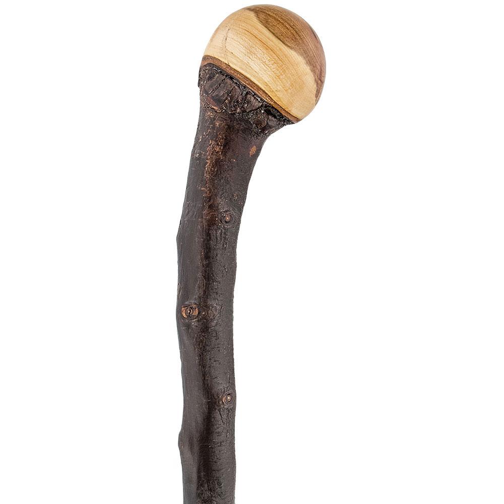 Premium Hand-Selected Irish Blackthorn Root Knobbed Walking Stick