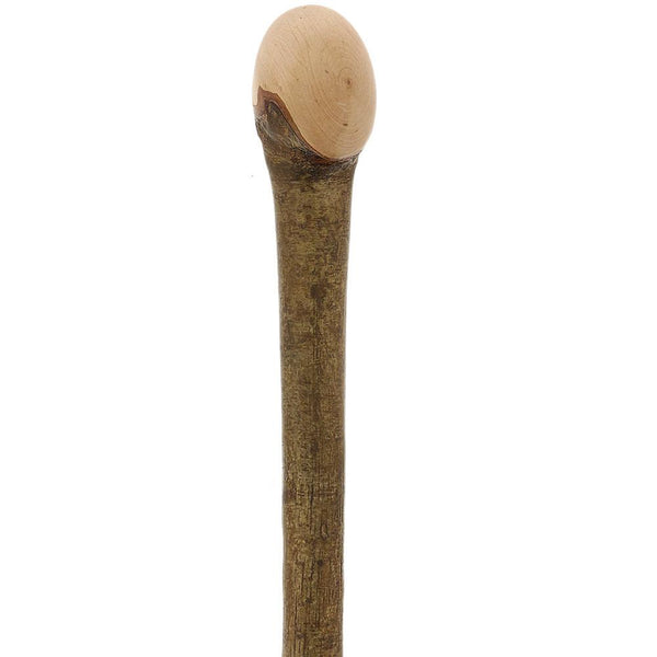 Hazel wood stout knob stick