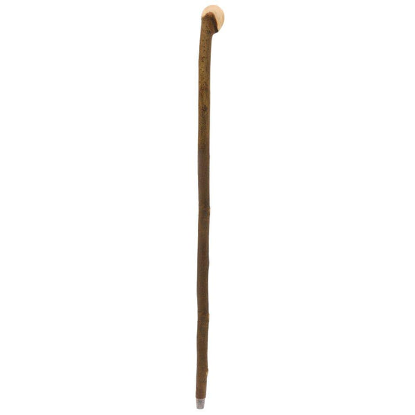 Natural Charm: Hazelwood Root Knobbed Cane with Leather Strap