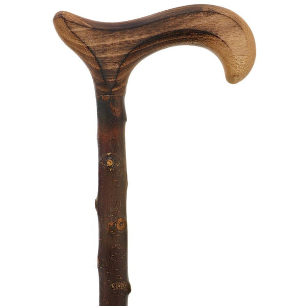 Blackthorn derby handle cane