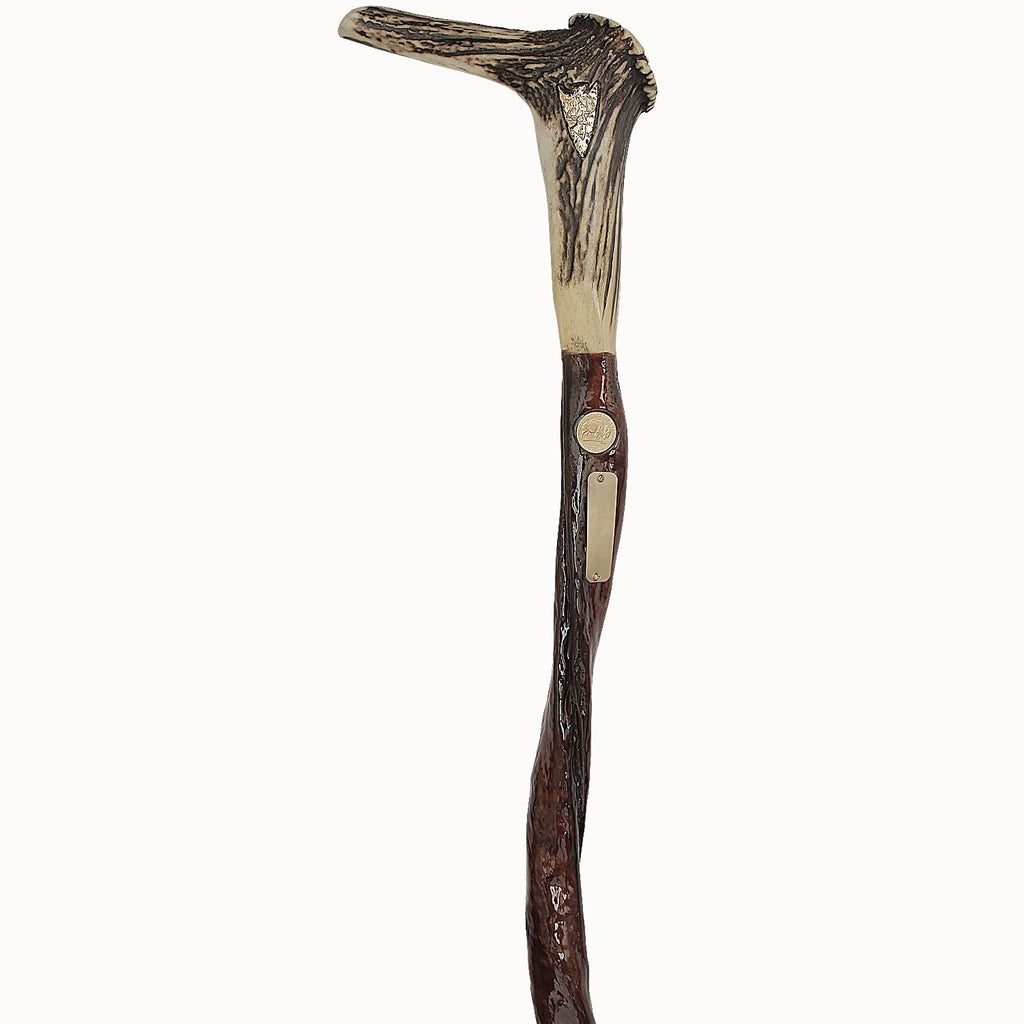 Exclusive Elk Horn Handle Cane with Bull Organ Shaft